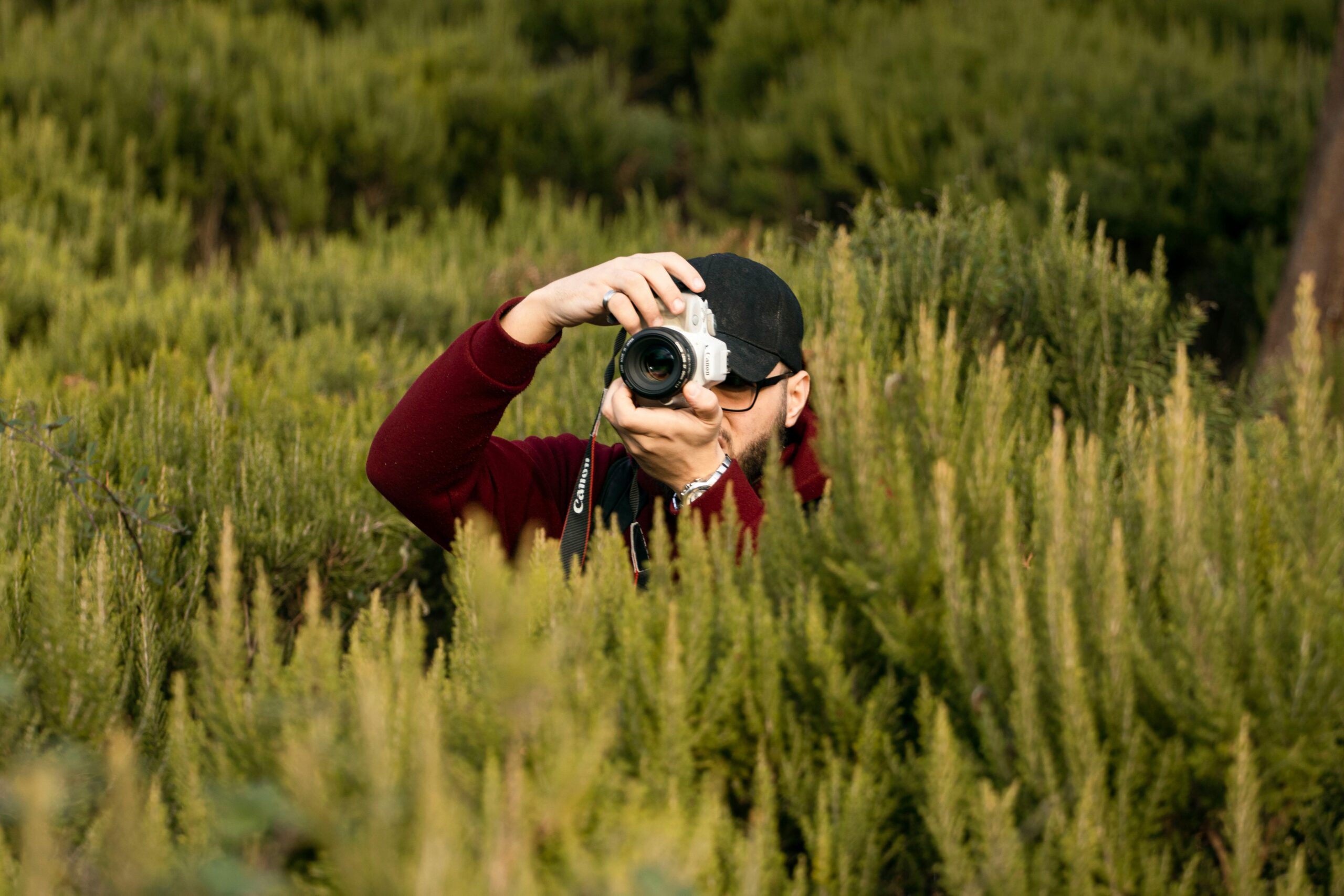 How to Find Hidden Cameras in Your Airbnb: Insights from Private ...