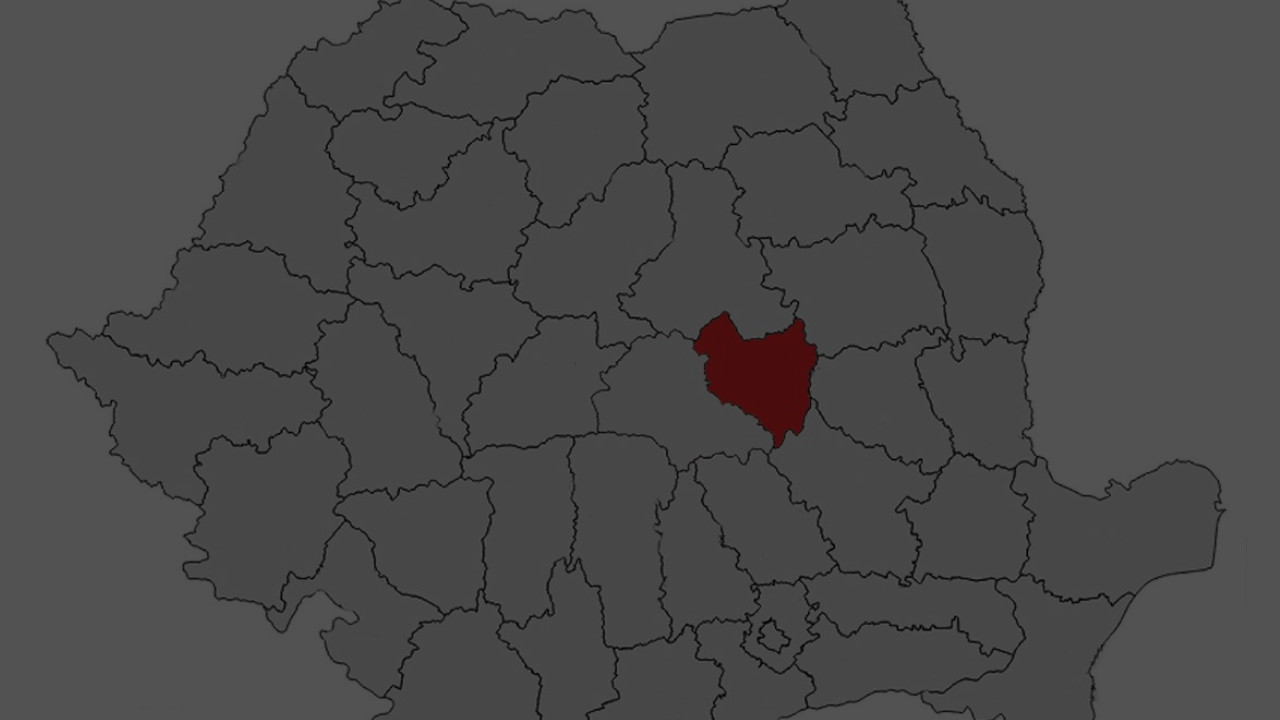 Case Study: Birth Parent Locate Investigation – Romania – Privin